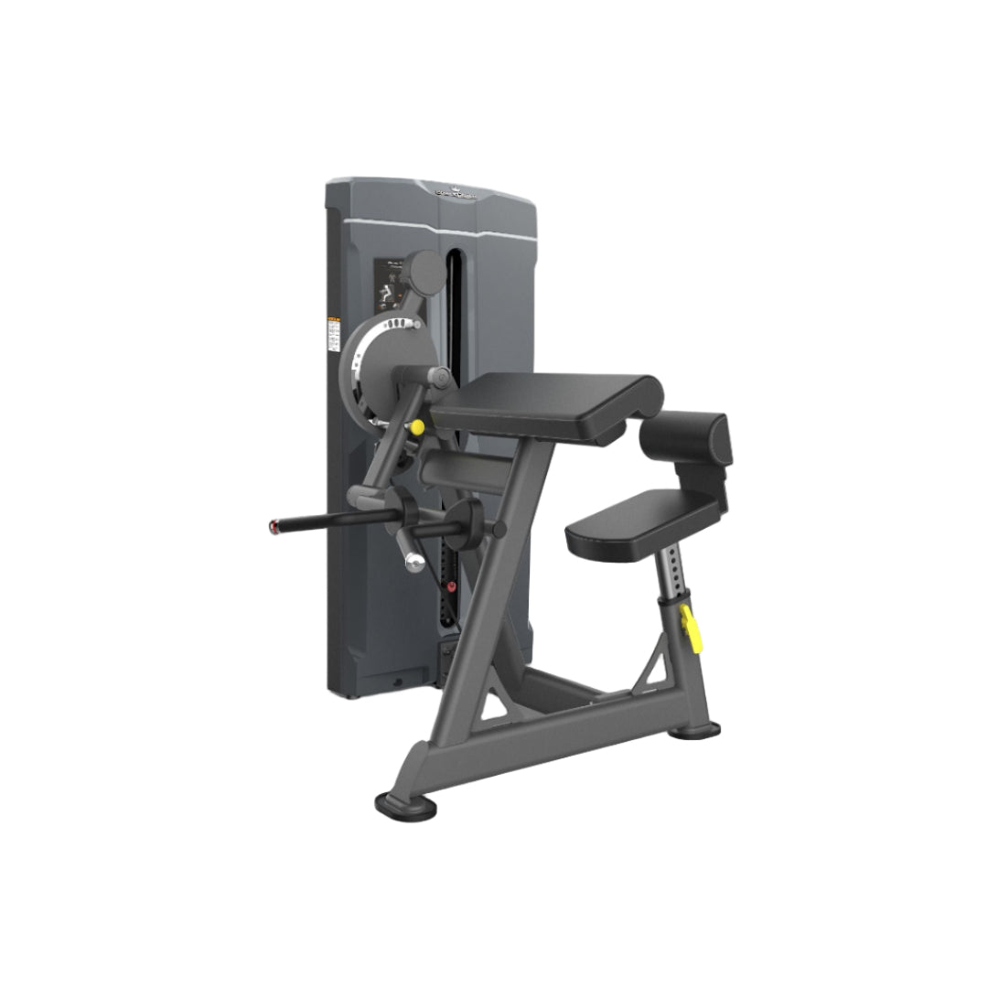 Commercial Biceps Curl & Triceps Extension Machine | Dual Function Gym ...