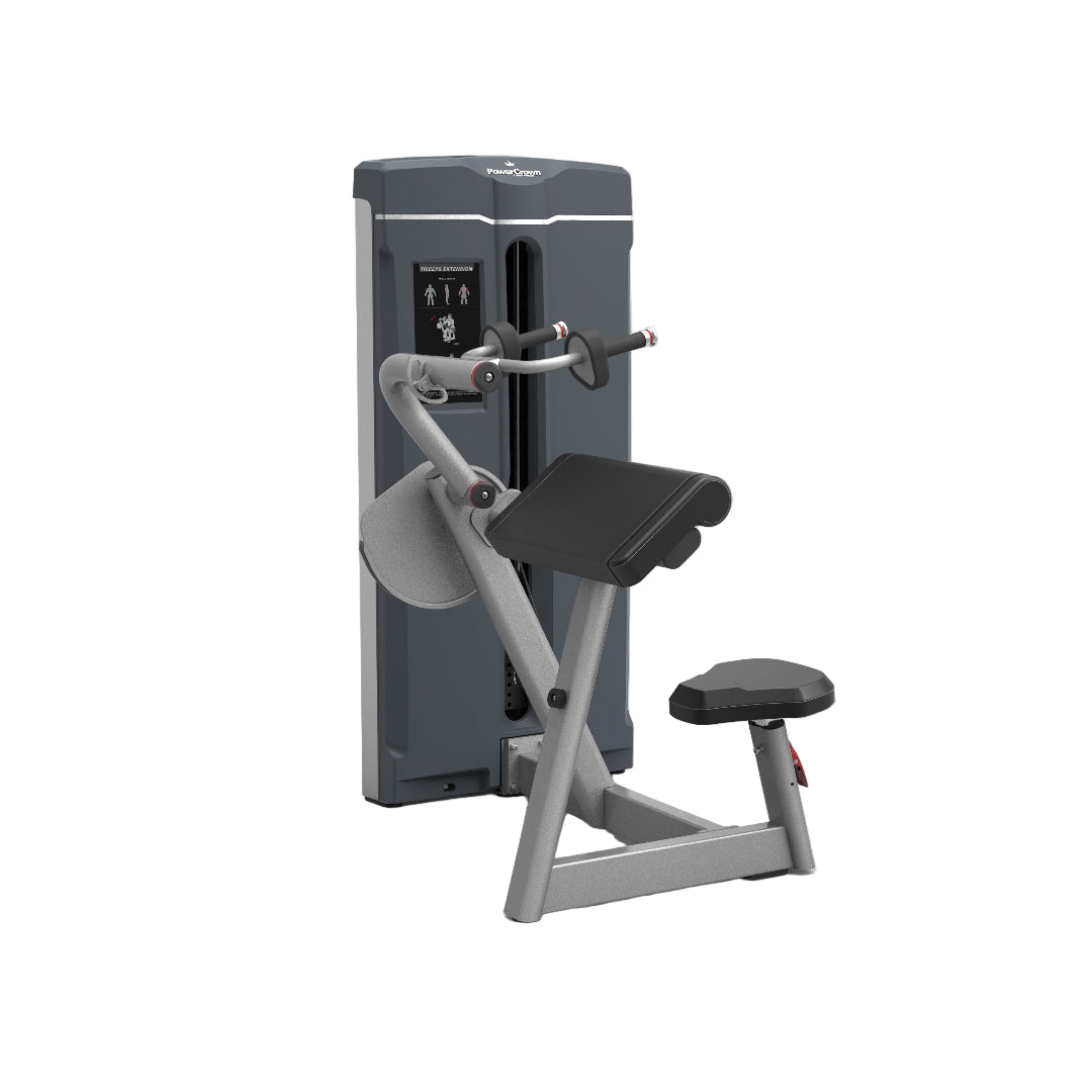 Commercial Triceps Extension Machine – Effective Upper Arm Strength ...