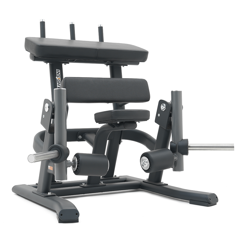 Insight Alternative Leg Curl Machine | Targeted Hamstring Strength ...