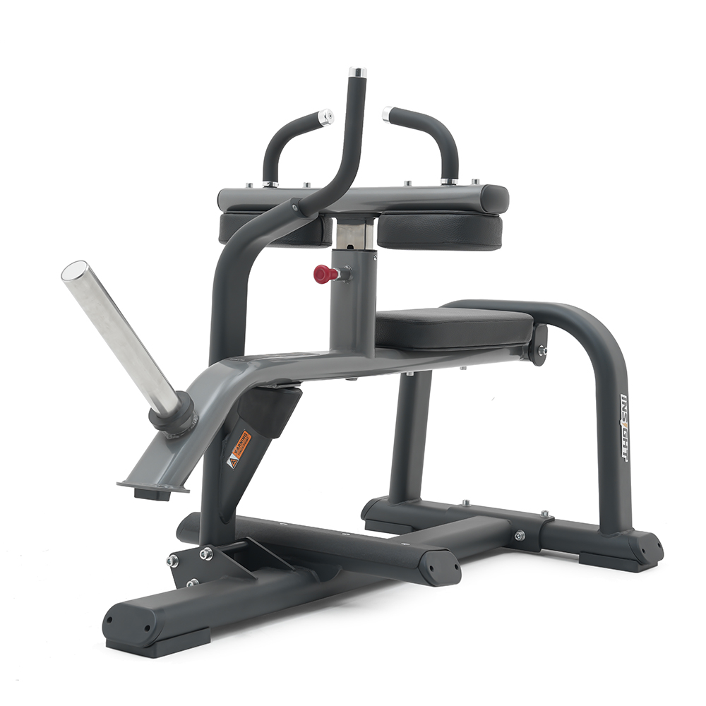 Insight Seated Calf Raise Machine | Stronger, Defined Calves with Ease ...