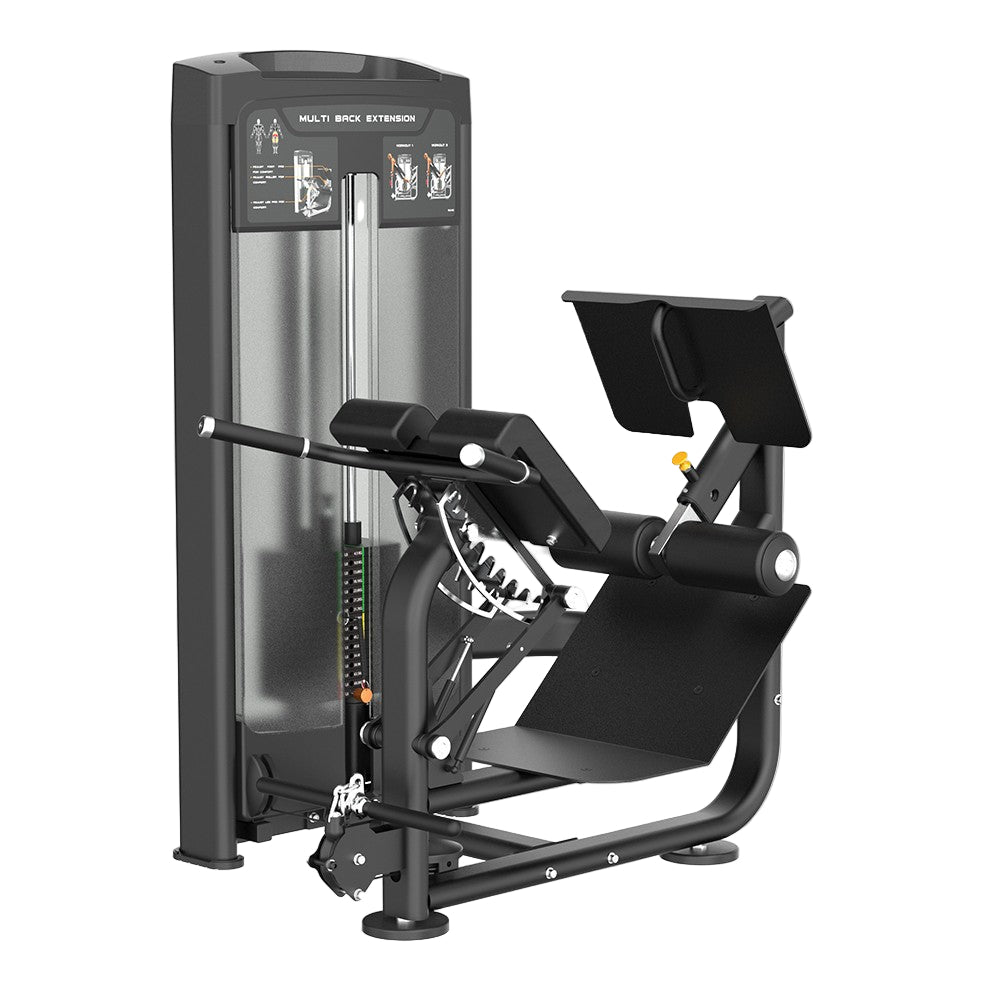 Insight Multi-Back Extension Machine | Selectorized Gym AU – Direct ...